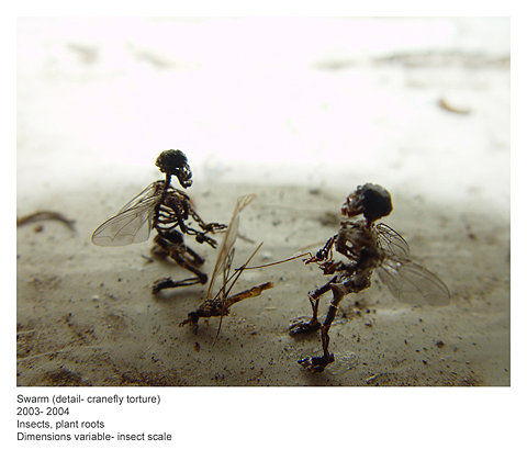 Fairy Photo: Proof of Skeletal Undead Fairies! – raincoaster
